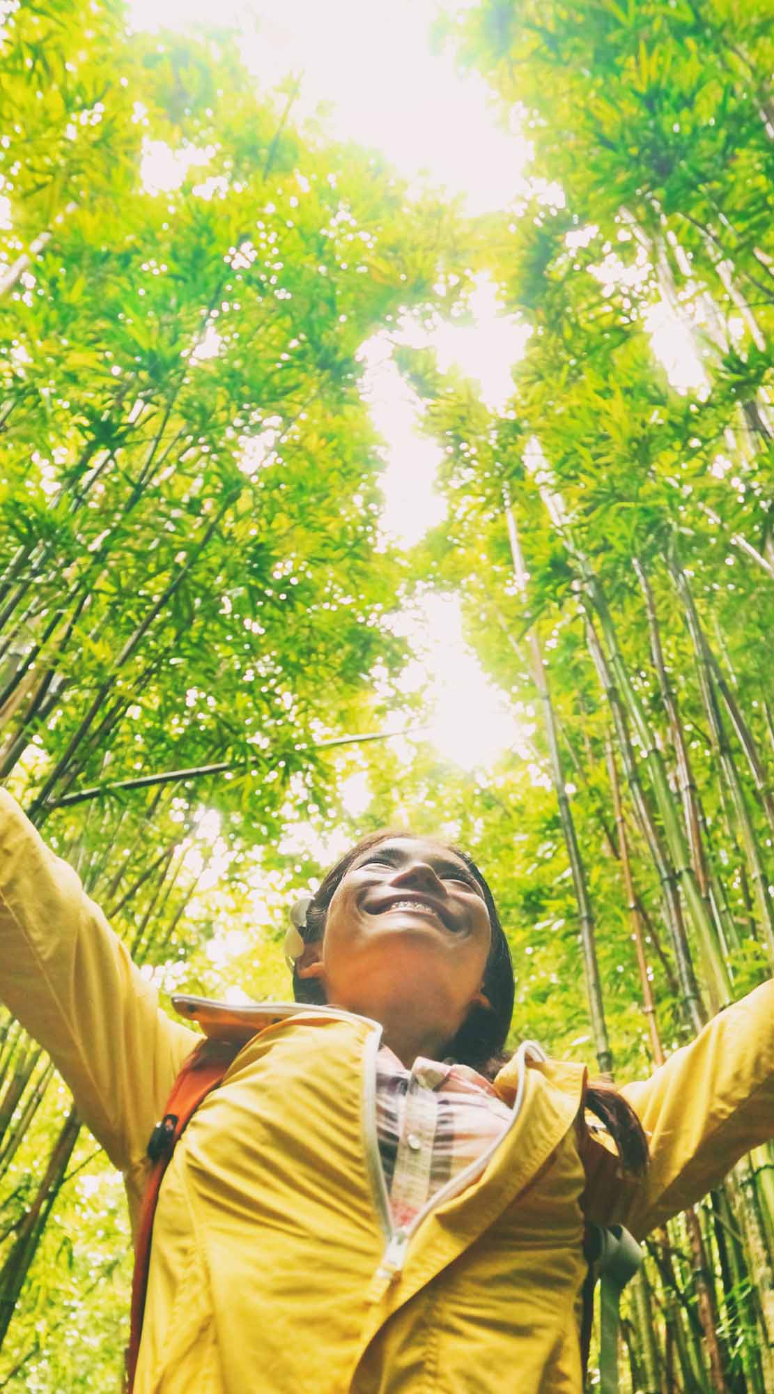 Triple Salt Cellar with Swivel Lids, 1-1/3 Cups Capacity – Totally Bamboo